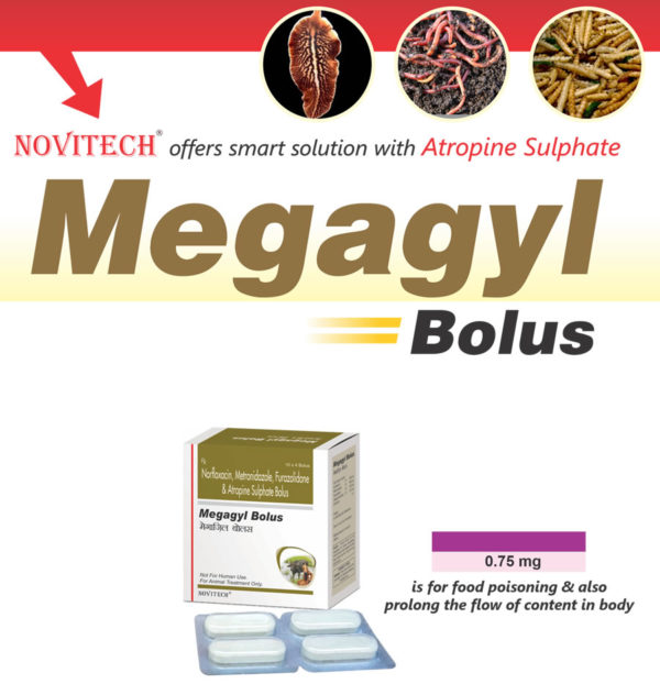 Megagyl Bolus | Novitech India